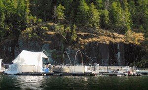 Swimmingly Warm in Pendrell Sound – Desolation Sound,BC