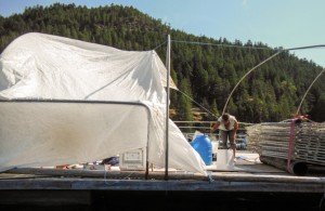 Swimmingly Warm in Pendrell Sound – Desolation Sound,BC