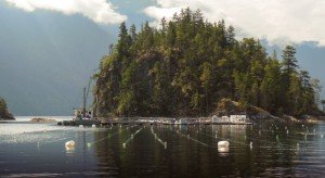 Swimmingly Warm in Pendrell Sound – Desolation Sound,BC