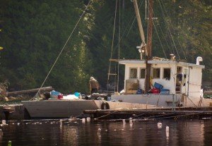 Swimmingly Warm in Pendrell Sound – Desolation Sound,BC