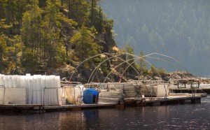 Swimmingly Warm in Pendrell Sound – Desolation Sound,BC