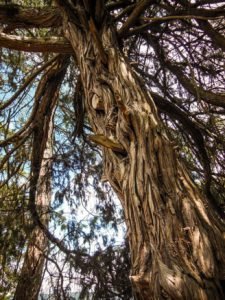 Pirates Cove, De Courcy Island – Gulf Islands